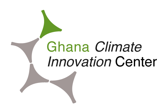 Christie Brown - Putting Fashion Where Her Mouth Is · Ghana Climate ...